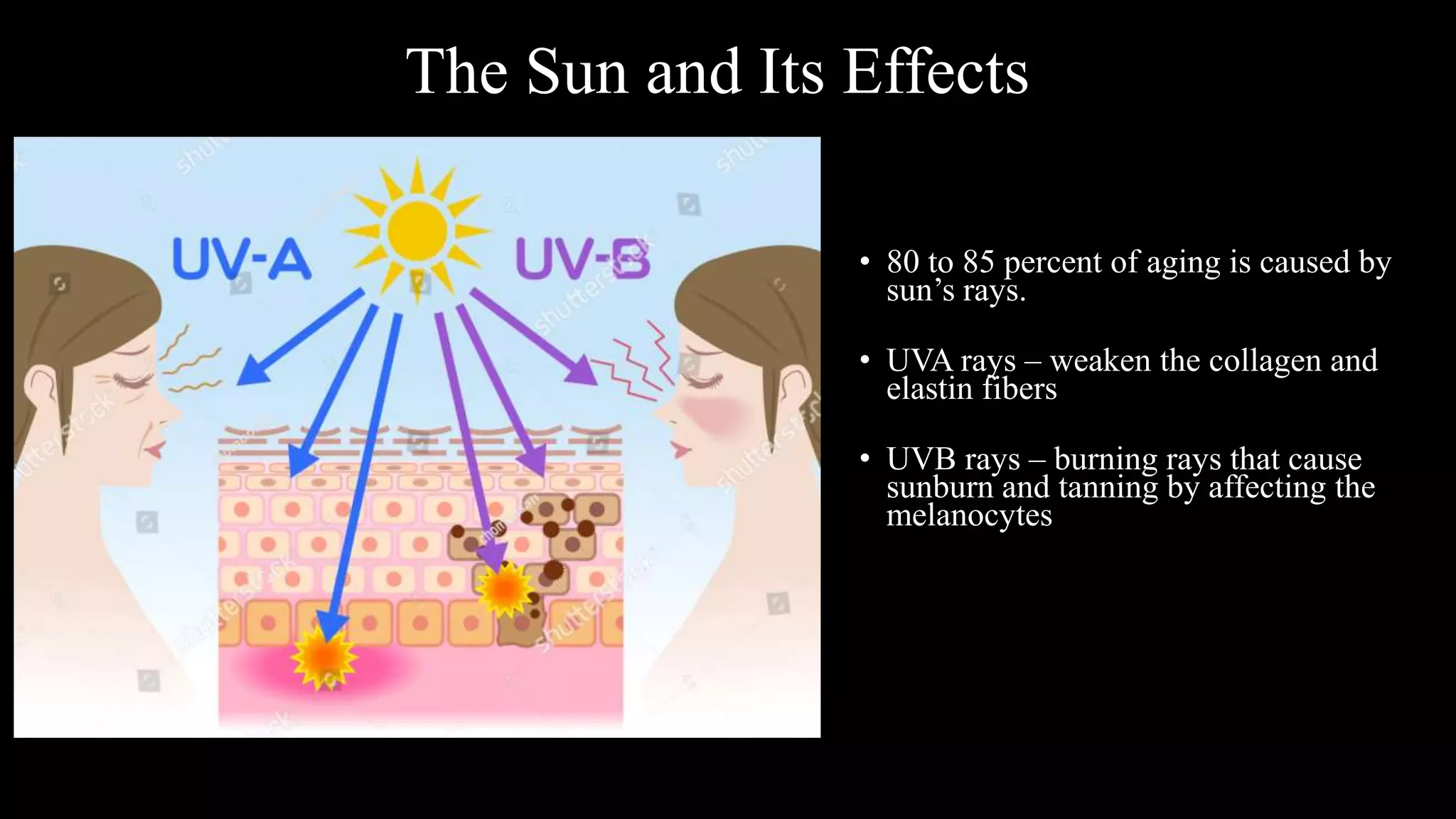Milady skin diseases & disorders | PPTX