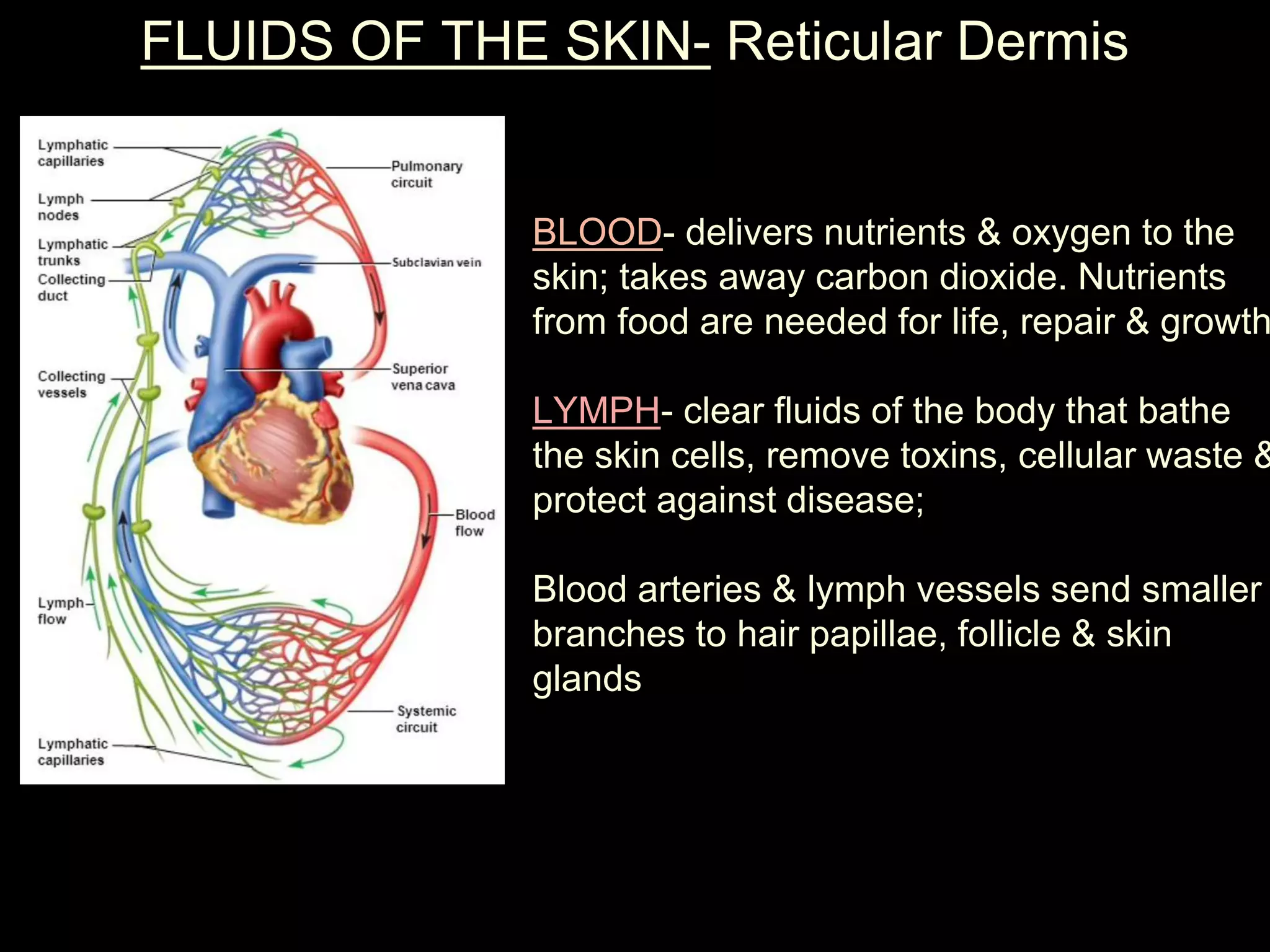 Milady skin structure, growth and nutrition | PPTX