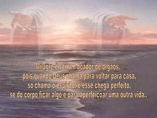Milagres lady foppa | PPS