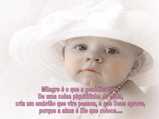 Milagres lady foppa | PPS