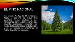los Simbolos mayores y menores de honduras.pptx