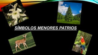 los Simbolos mayores y menores de honduras.pptx