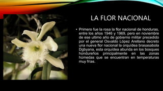 los Simbolos mayores y menores de honduras.pptx