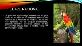 los Simbolos mayores y menores de honduras.pptx