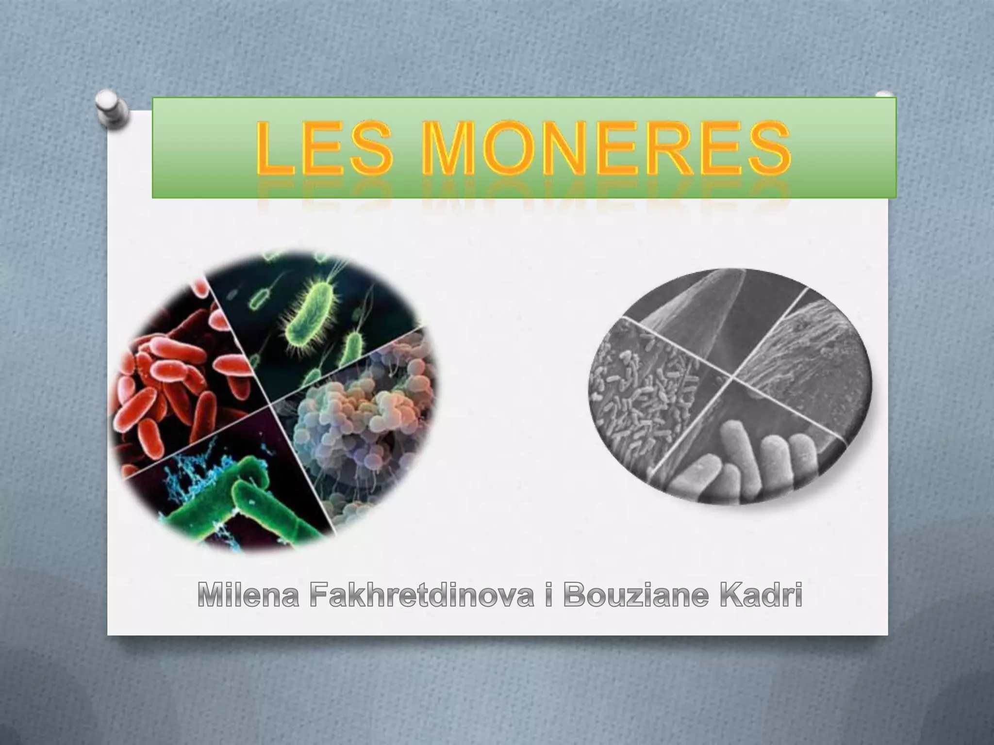Milena i bouziane les moneres | PPT