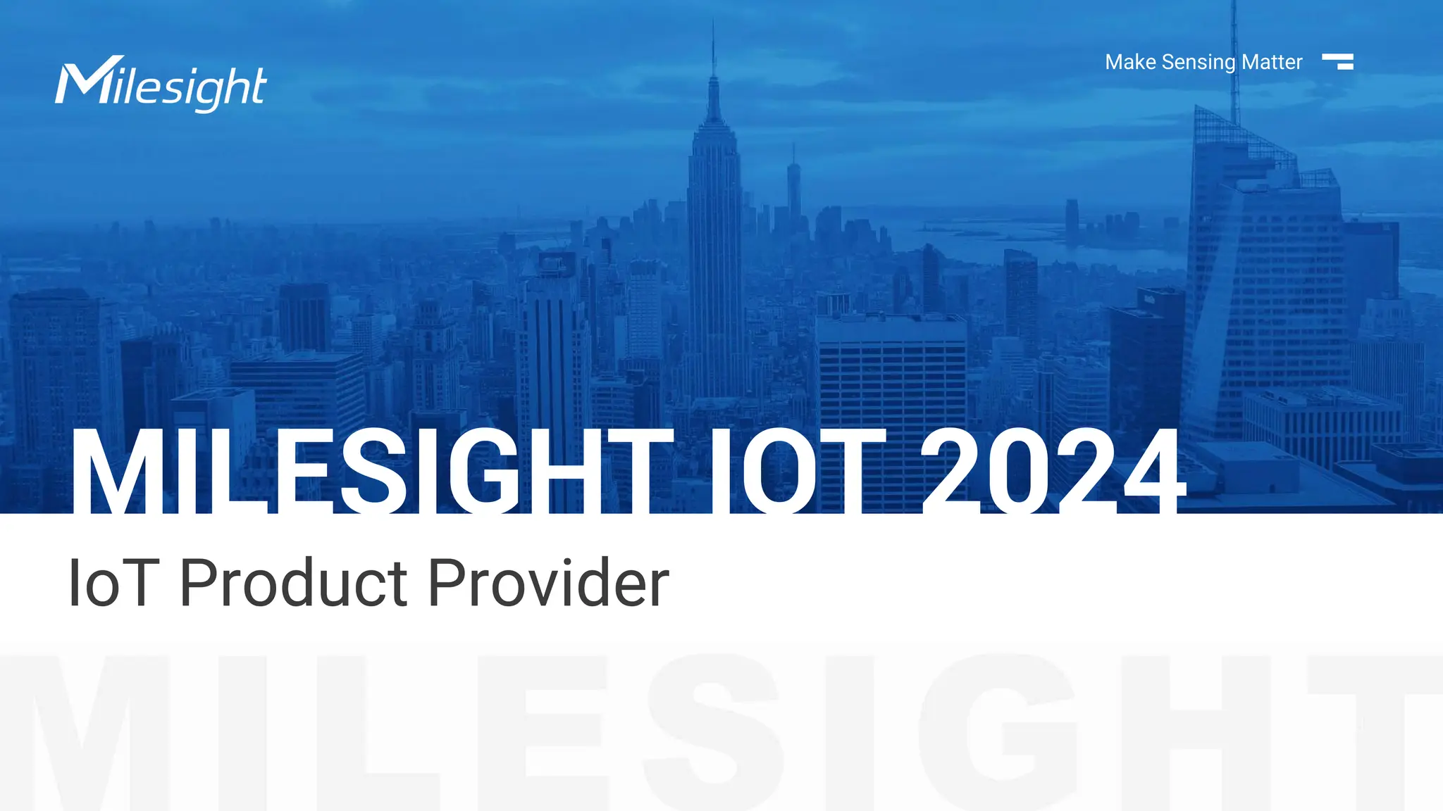 Milesight Internet of things product 2024.pdf
