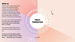MILESTONE- OF - FETAL - DEVELOPMENT. PPT | PDF