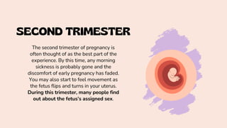 MILESTONE- OF - FETAL - DEVELOPMENT. PPT | PDF