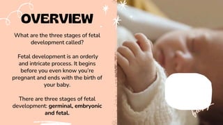 MILESTONE- OF - FETAL - DEVELOPMENT. PPT | PDF