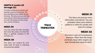 MILESTONE- OF - FETAL - DEVELOPMENT. PPT | PDF