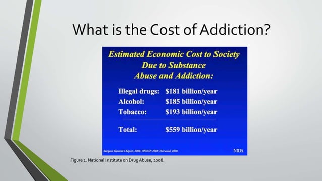 A Matter of Addiction: Brain Disease or Moral Failing | PPT