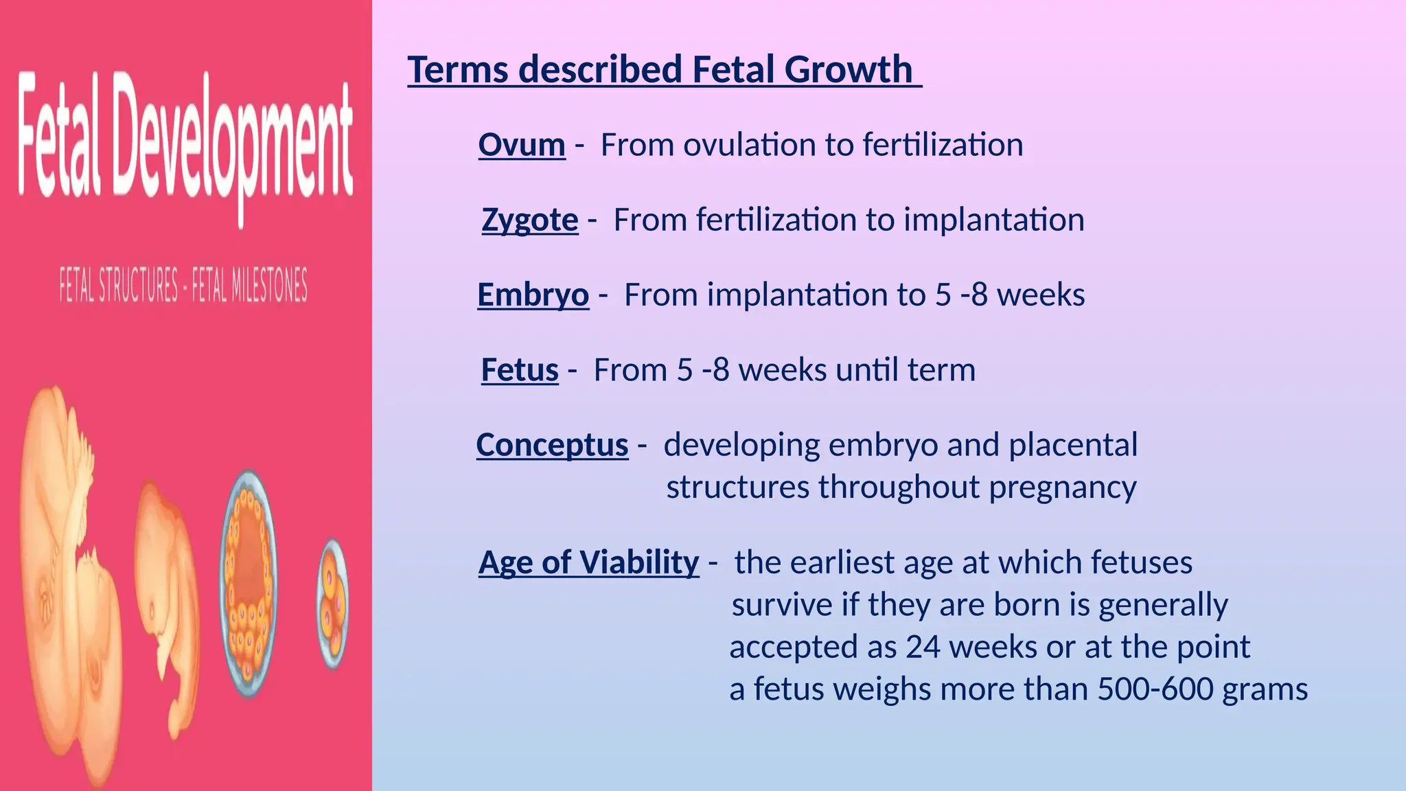 Milestones-of-Fetal-Growth-Development-PPT.pptx