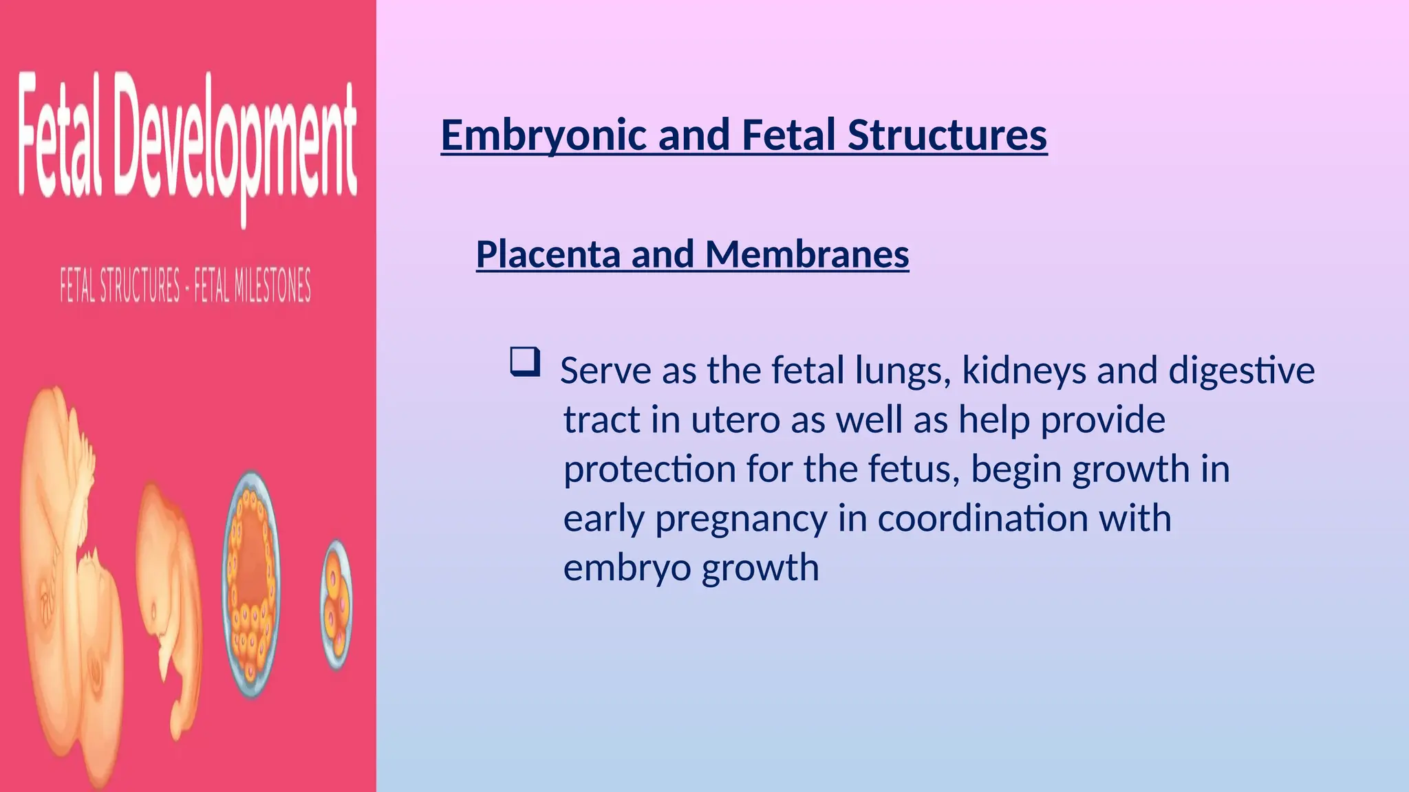Milestones-of-Fetal-Growth-Development-PPT.pptx