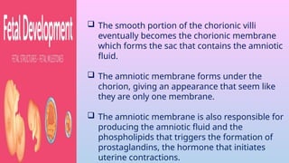 Milestones-of-Fetal-Growth-Development-PPT.pptx