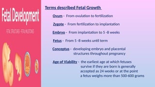 Milestones-of-Fetal-Growth-Development-PPT.pptx