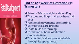 Milestones-of-Fetal-Growth-Development-PPT.pptx