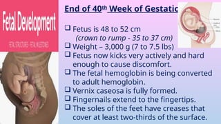 Milestones-of-Fetal-Growth-Development-PPT.pptx
