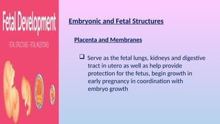 Milestones-of-Fetal-Growth-Development-PPT.pptx