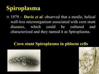 Milestones in the history of plant pathology | PPTX