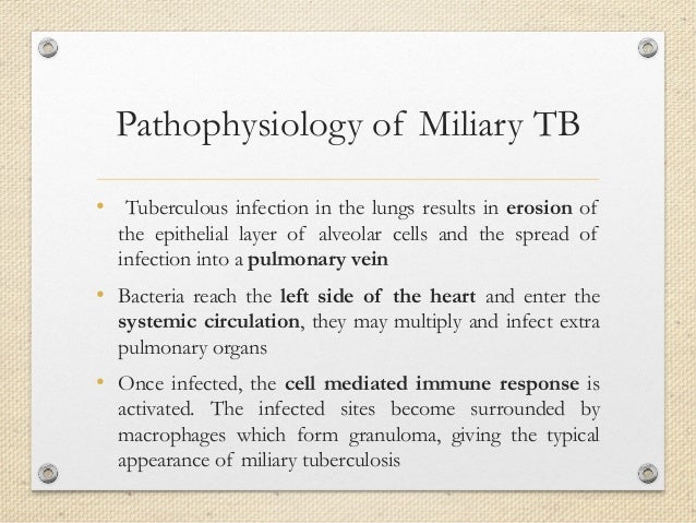 Miliary Tuberculosis (dr. mahesh)