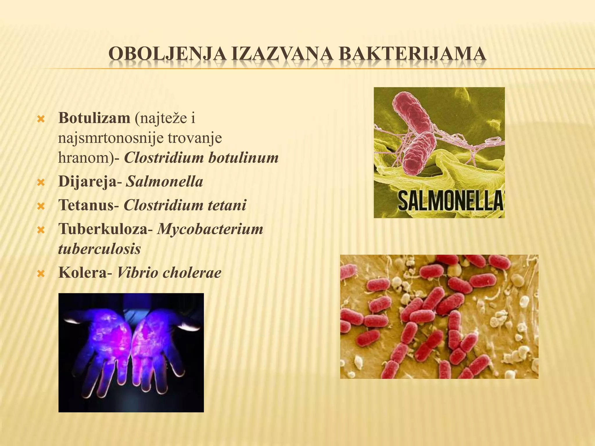 Milica biologija | PPTX