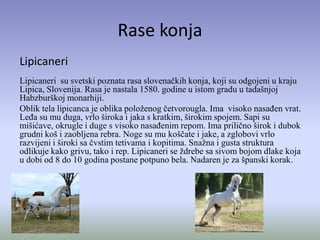 Milica prezentacija | PPT