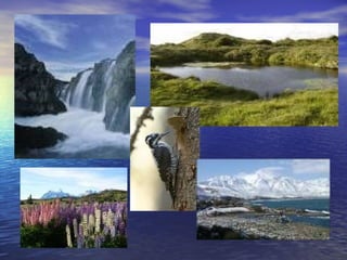 Milieu | PPT
