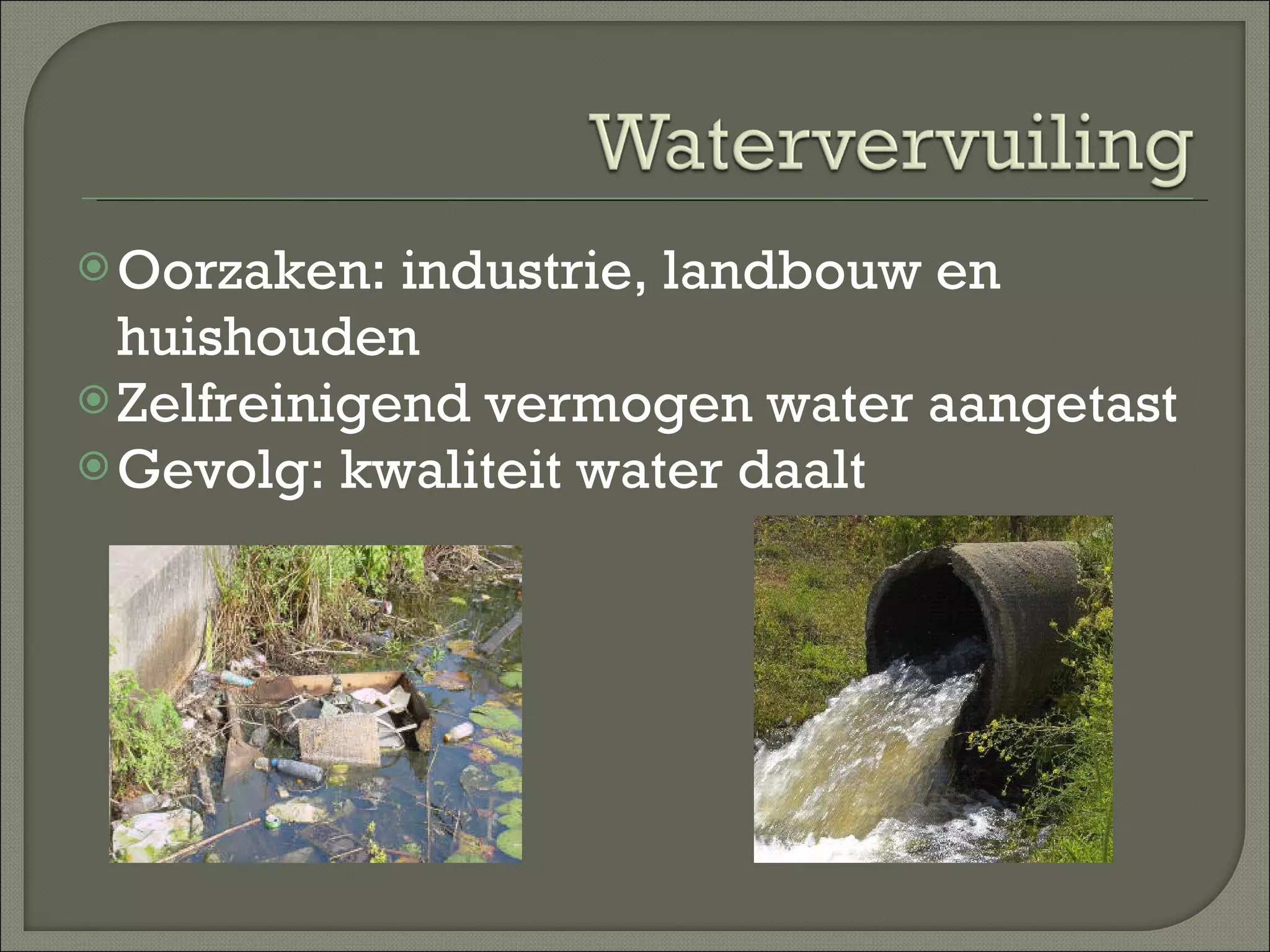 Milieu | PPT | Home & Garden