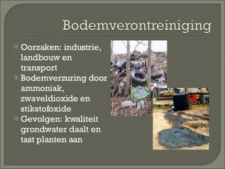 Milieu | PPT | Home & Garden