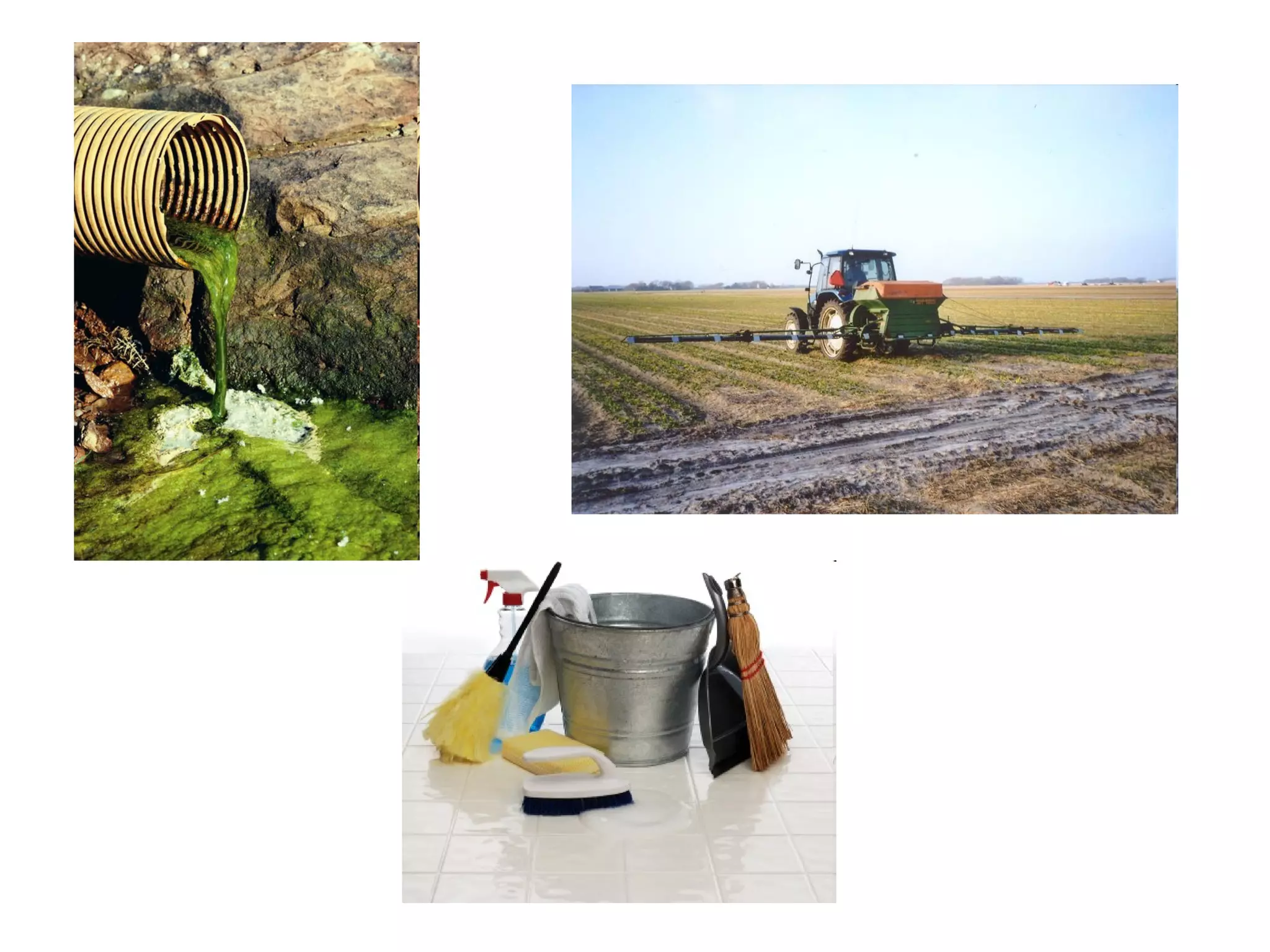 Milieu | PPT | Free Download