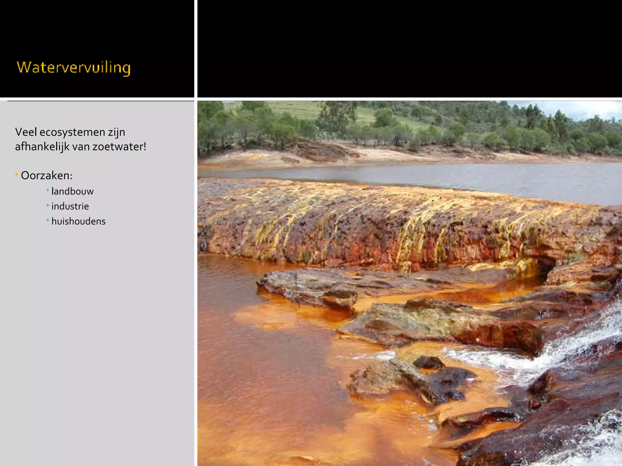 Milieuproblematiek | PPT