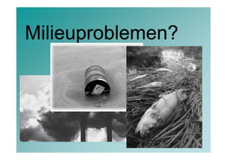 Milieuproblemen | PDF