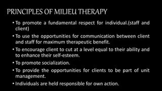 Milieu therapy | PPTX