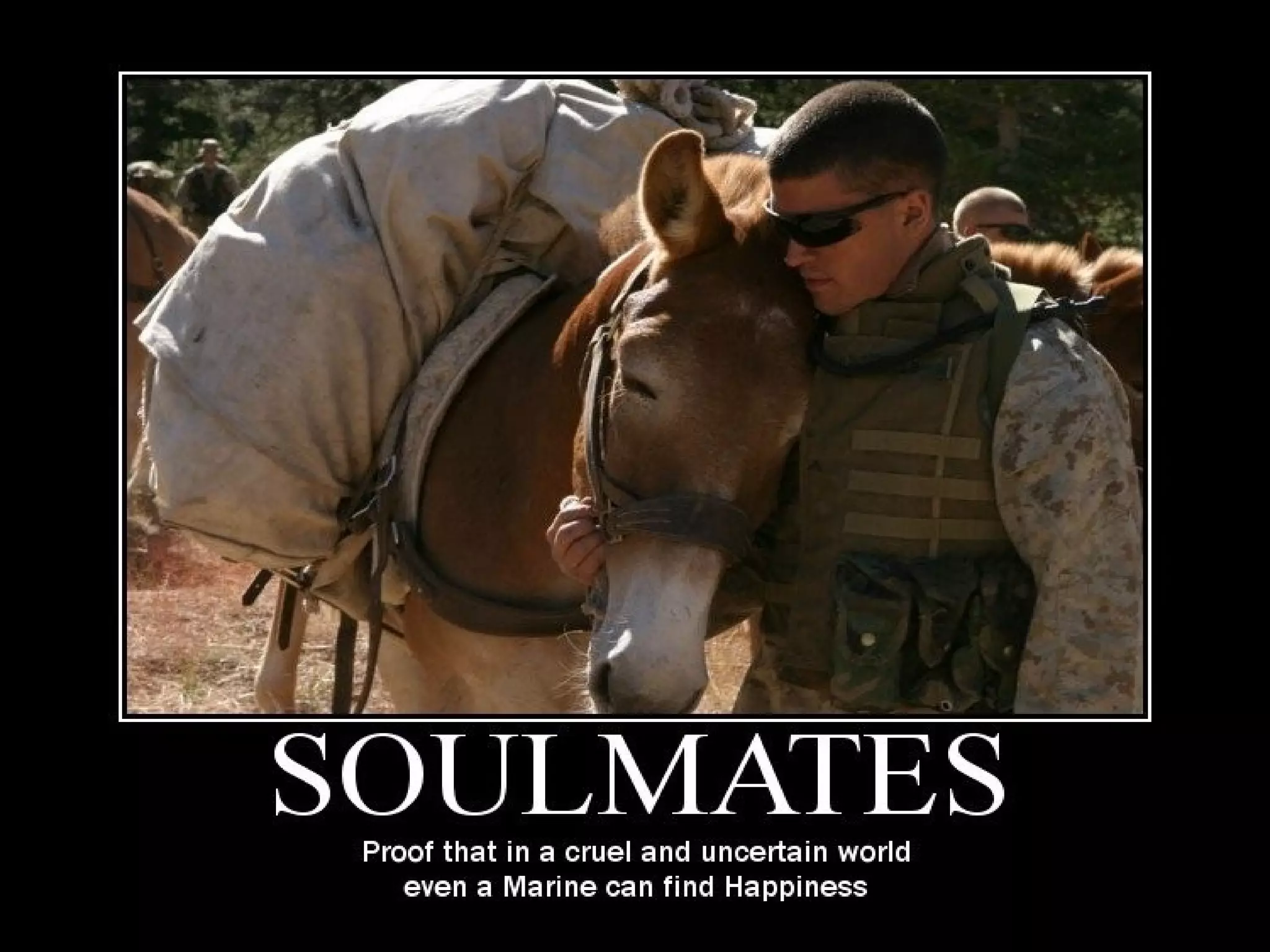 Military motivational-posters | PPT