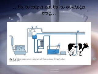 Milk | PPT