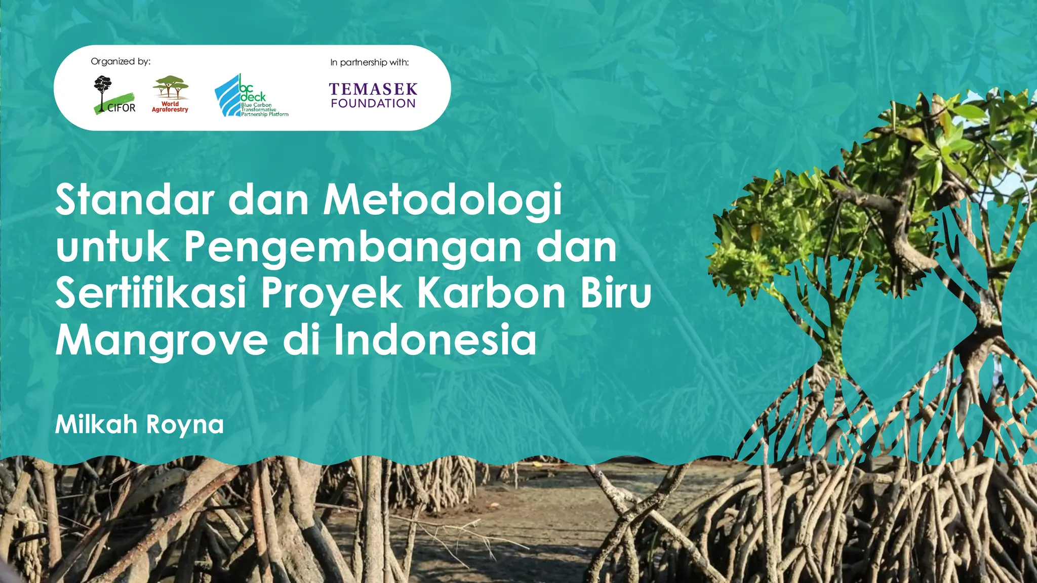 Standar dan Metodologi untuk Pengembangan dan Sertifikasi Proyek Karbon ...