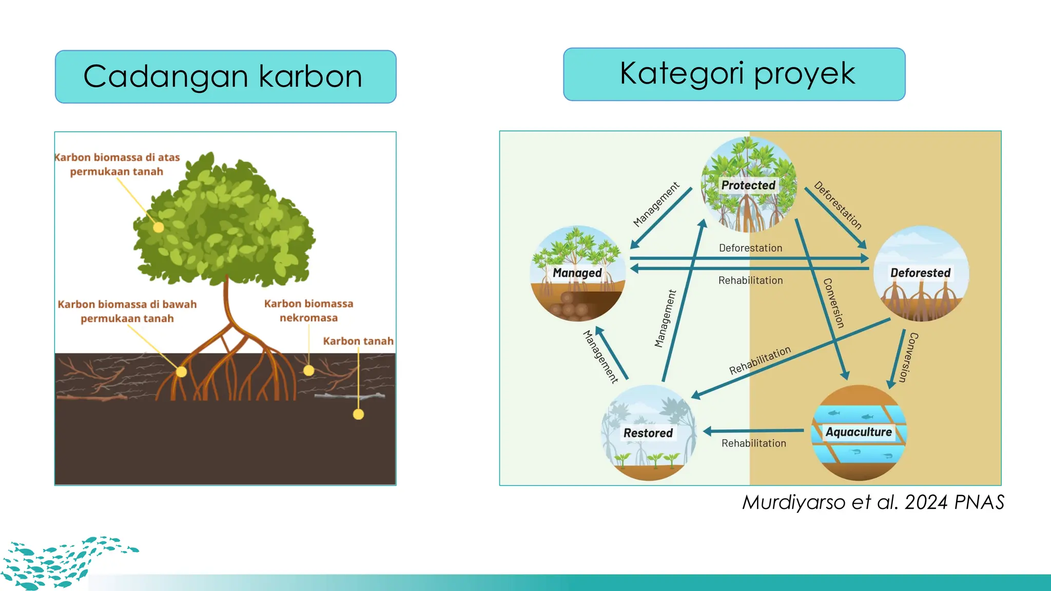 Standar dan Metodologi untuk Pengembangan dan Sertifikasi Proyek Karbon ...