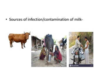 Milk and meat hygiene | PPTX