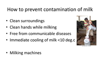 Milk and meat hygiene | PPTX