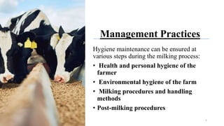 management practices for good milk hygiene | PPTX