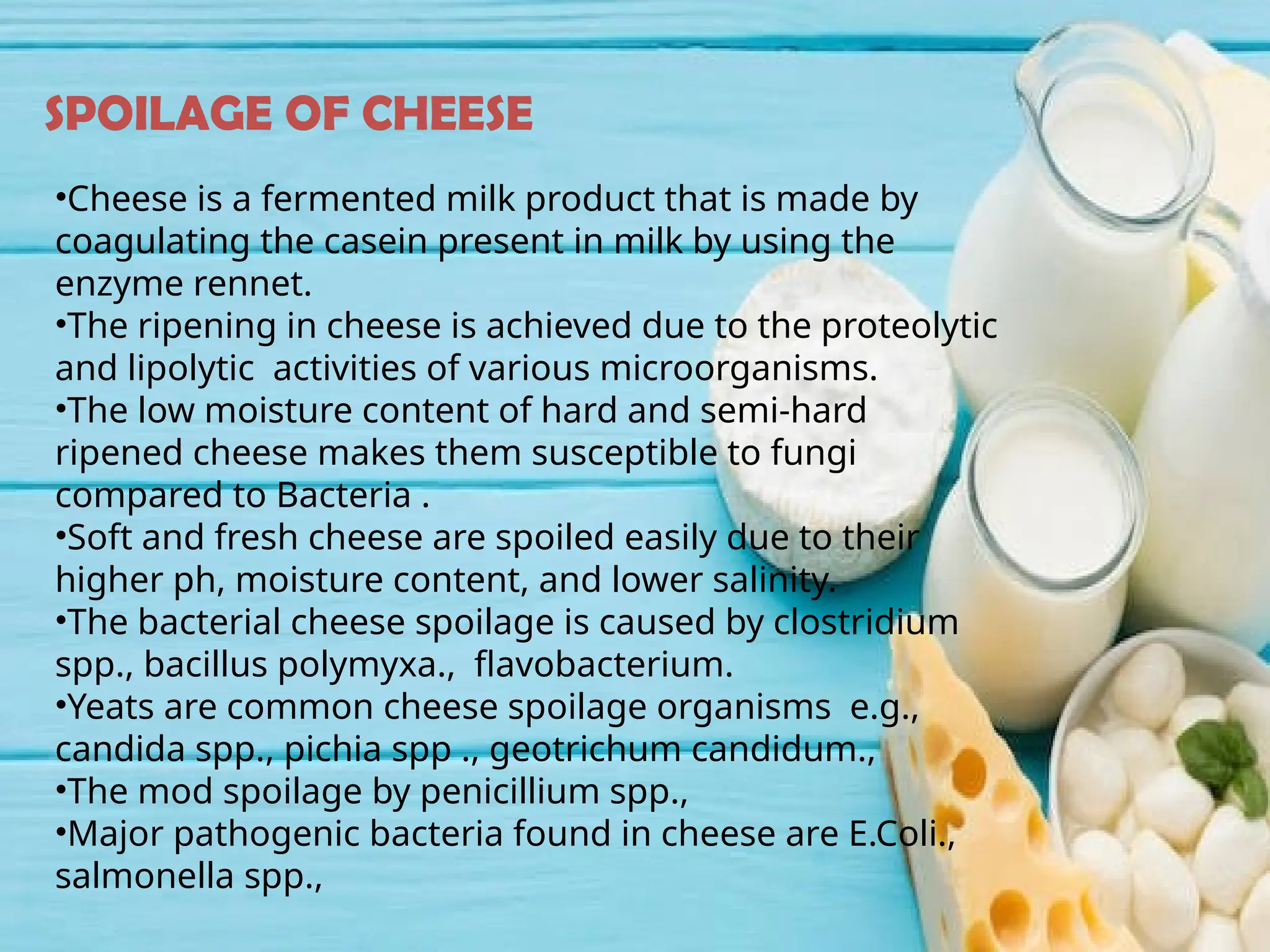 MILK AND MILK PRODUCTS- source, contamination, spoilage and prevention ...