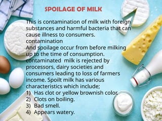 MILK AND MILK PRODUCTS- source, contamination, spoilage and prevention. | PPTX