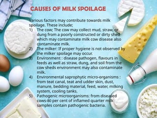 MILK AND MILK PRODUCTS- source, contamination, spoilage and prevention ...