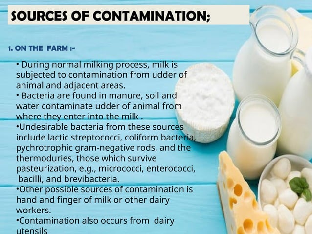 MILK AND MILK PRODUCTS- source, contamination, spoilage and prevention ...