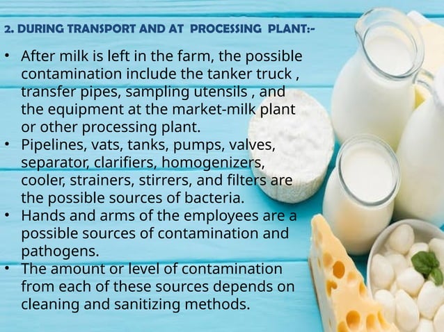 MILK AND MILK PRODUCTS- source, contamination, spoilage and prevention ...
