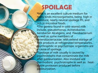 MILK AND MILK PRODUCTS- source, contamination, spoilage and prevention ...