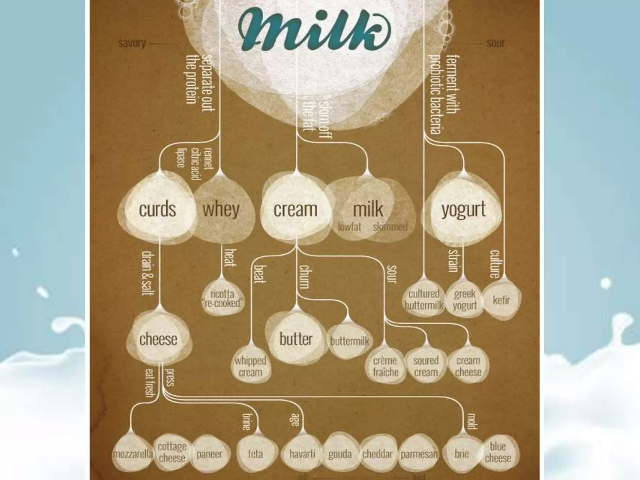Milk and milk products | PPTX