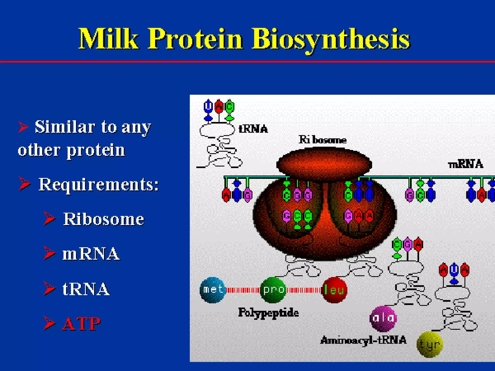 Milk Biosynthesis.pptx