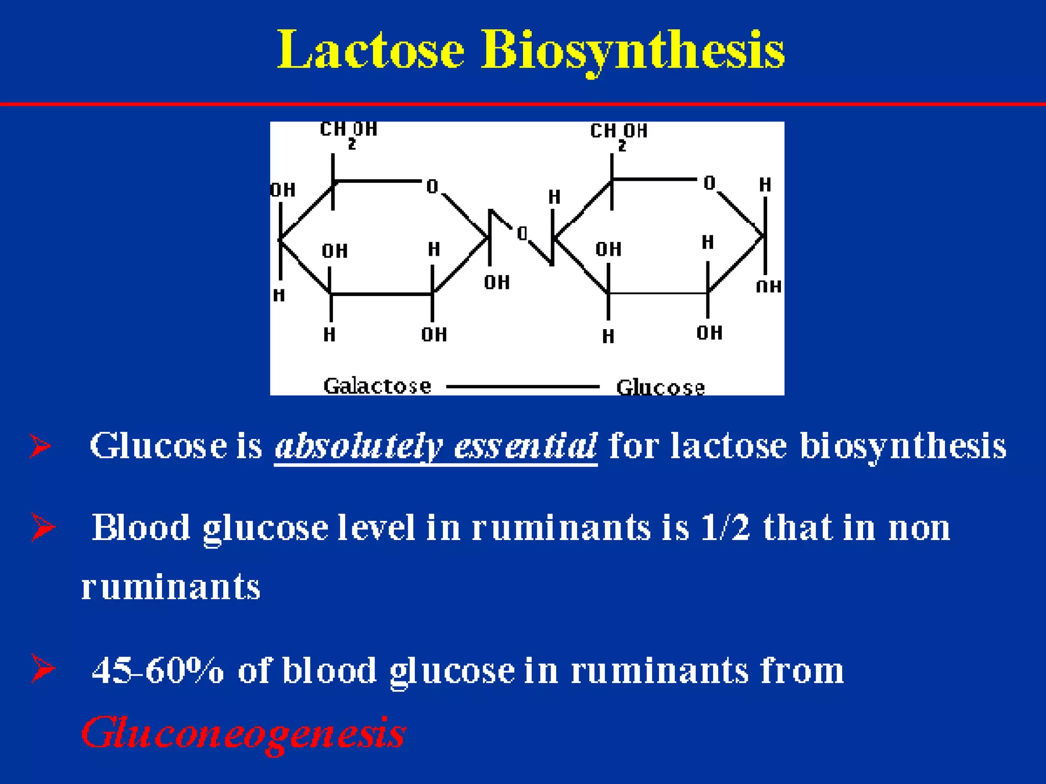 Milk Biosynthesis.pptx