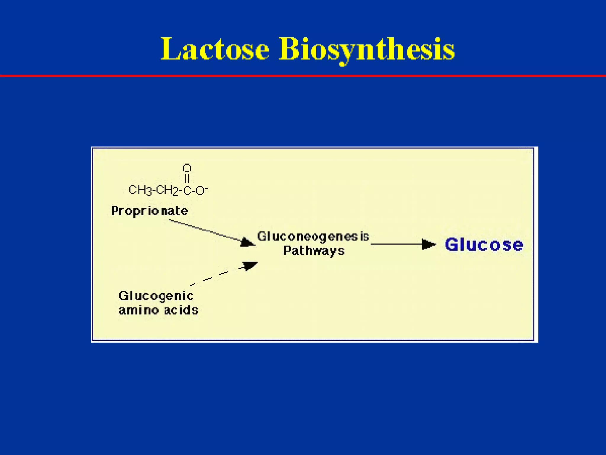 Milk Biosynthesis.pptx